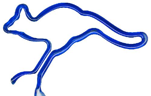 Kangaroo Pen | Shaped Pens