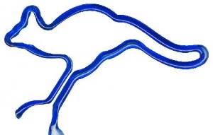 Kangaroo Pen | Shaped Pens