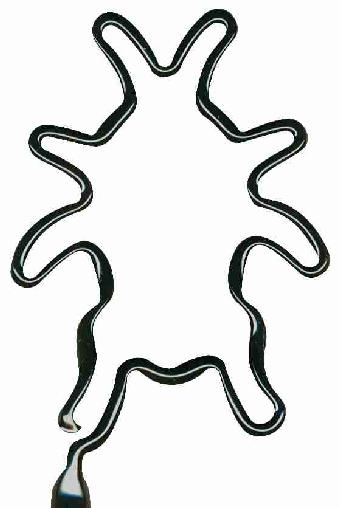 Roach Pen | Bug | Shaped Pens