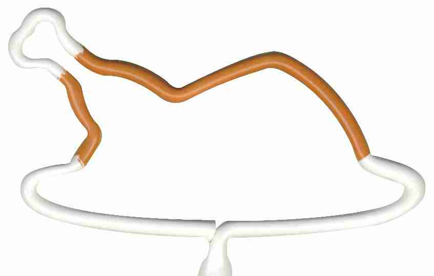 Roasted Turkey Pen | Shaped Pens | MC