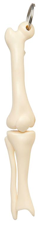 Knee Joint Keyring | Personalized Keyrings | Keychain