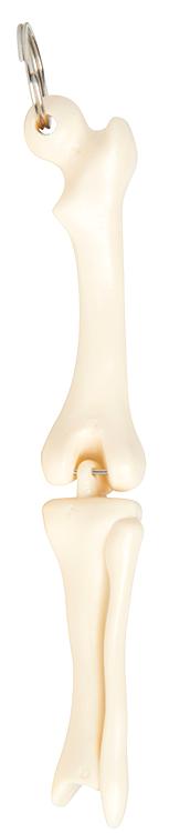 Knee Joint Keyring | Personalized Keyrings | Keychain