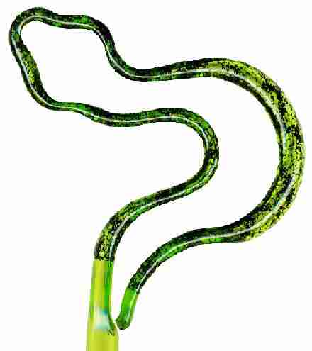 Snake Pen | Shaped Pens | MC