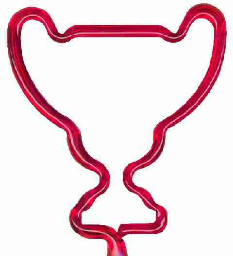 Trophy Pen | Shaped Pens
