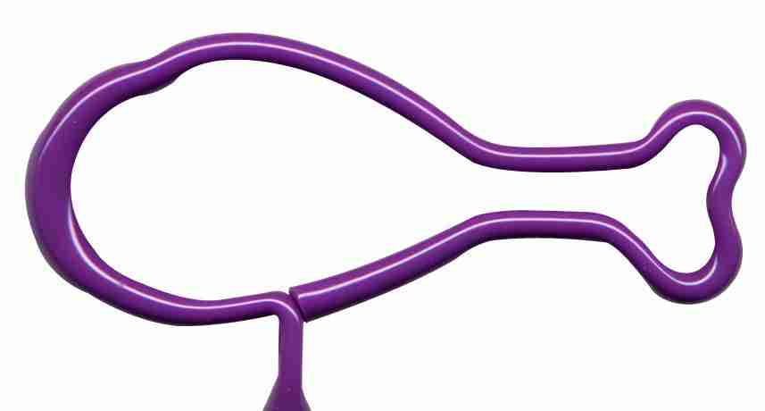 Turkey Leg Turkey Leg Pen | Shaped Pens