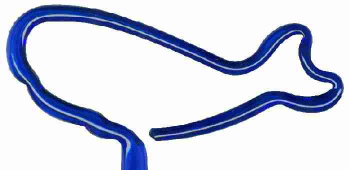 Whale Pen | Shaped Pens